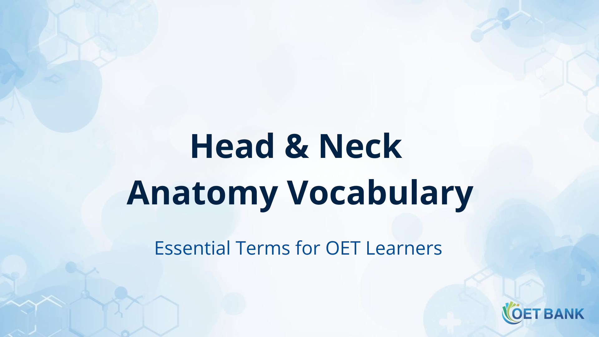 OET Must-Know Vocabulary: Head & Neck Anatomy | OET BANK