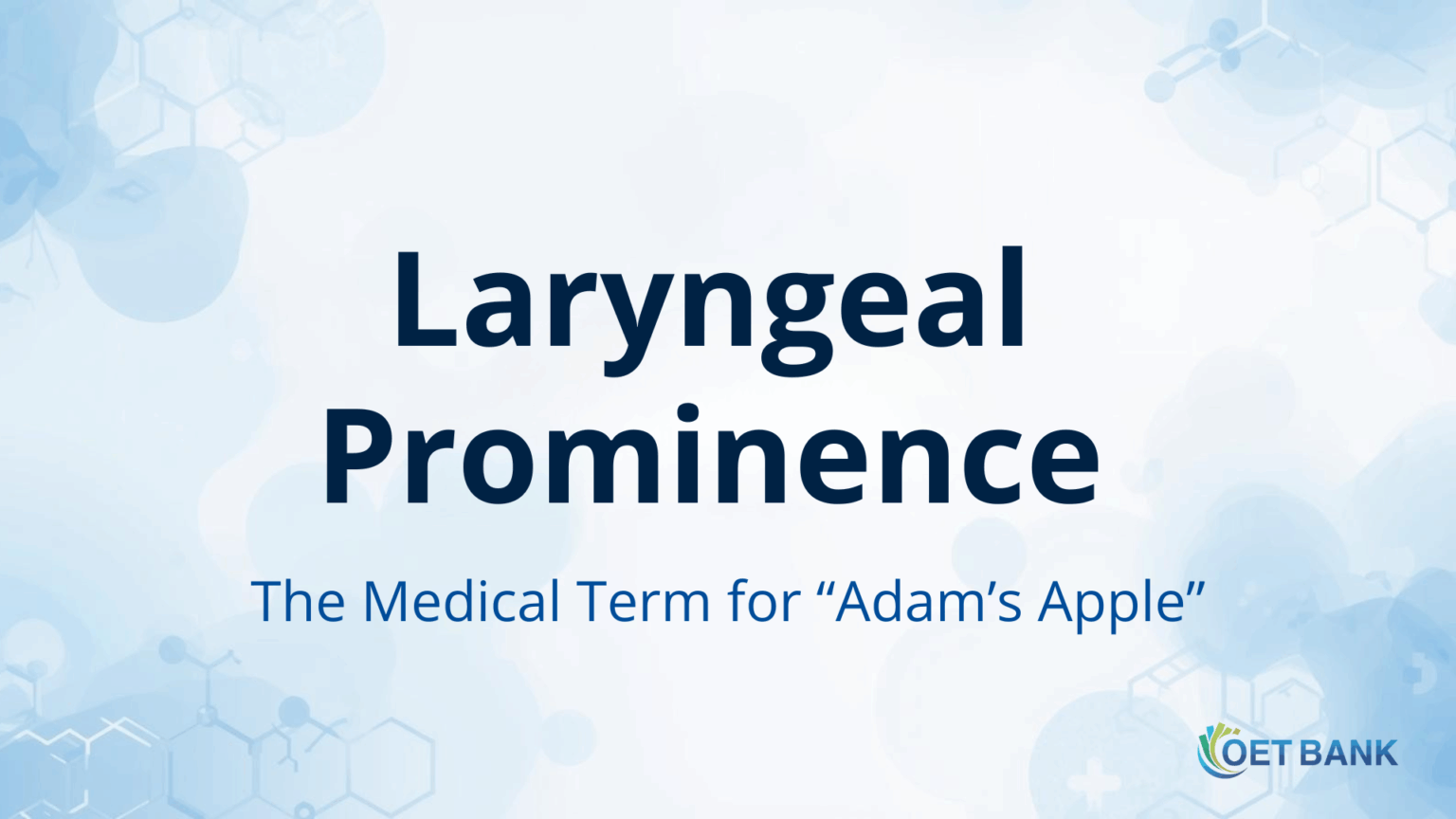 Laryngeal Prominence – Meaning and Usage in Medical English | OET BANK