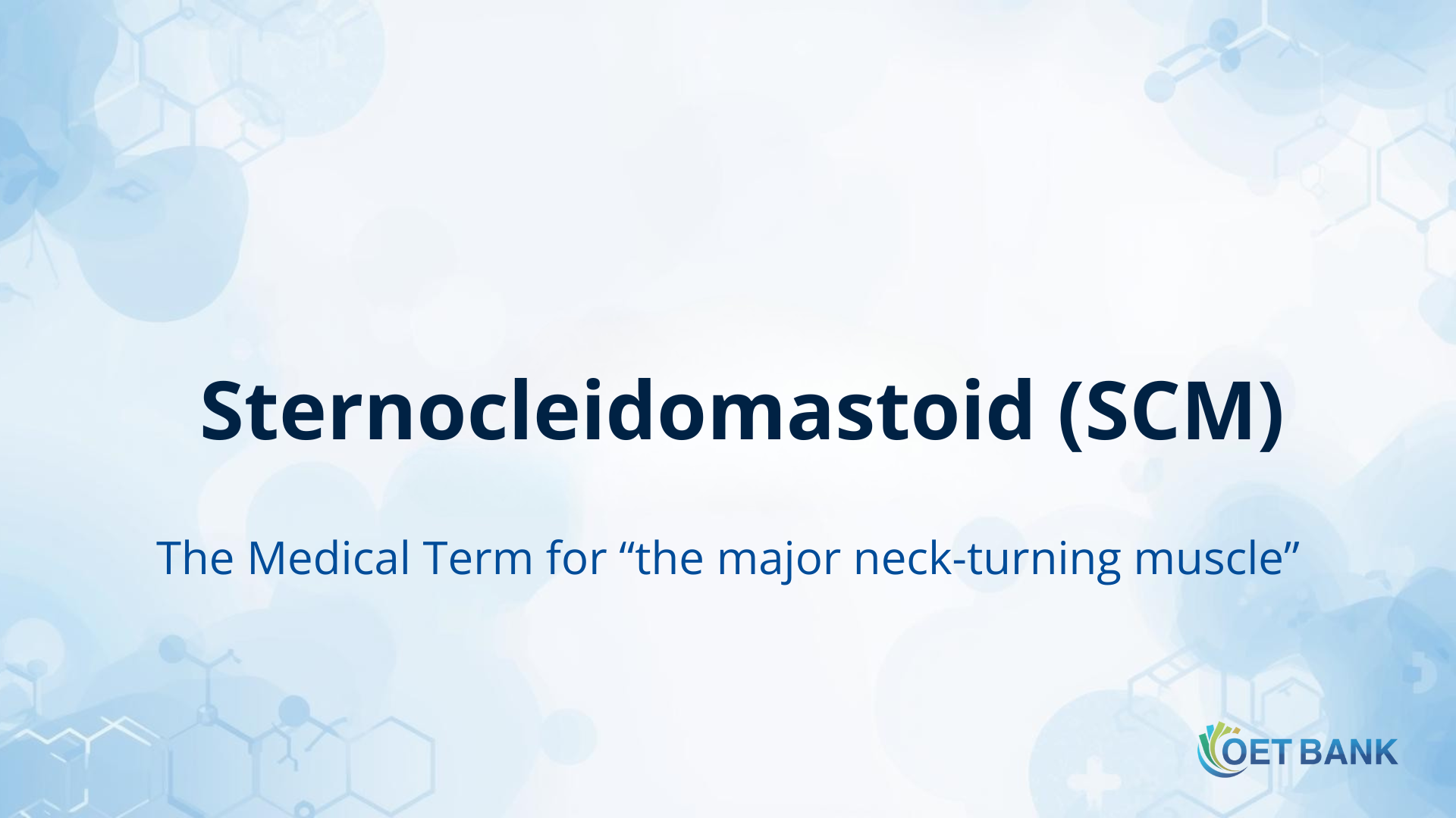Sternocleidomastoid (SCM) – Meaning and Usage in Medical English | OET BANK