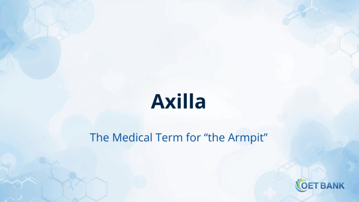 Axilla – Meaning and Usage in Medical English | OET BANK