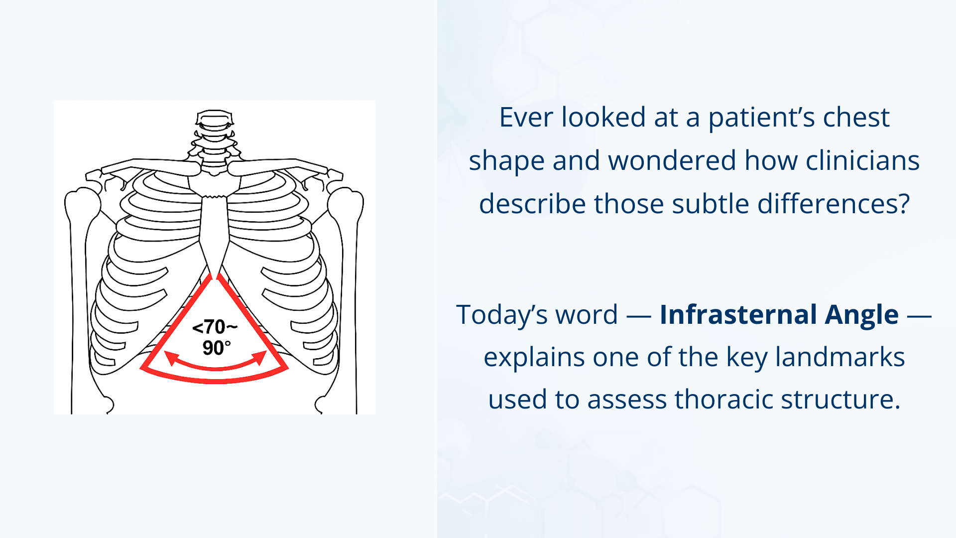 Infrasternal Angle – Meaning and Usage in Medical English | OET BANK