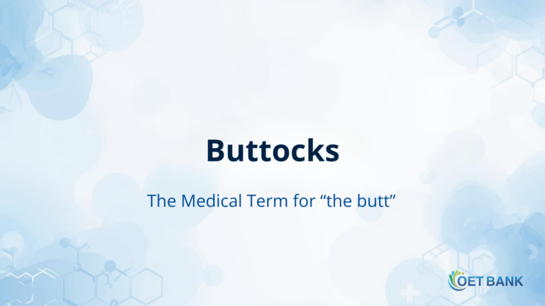 Buttocks – Meaning and Usage in Medical English | OET BANK